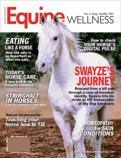 Top 10 Horse Magazines - Practical Horseman, ProRodeo Sports News ...