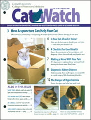 CatWatch Magazine Subscription | MagazineLine