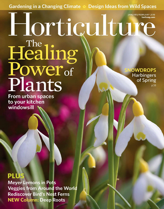 Horticulture Magazine Subscription | MagazineLine