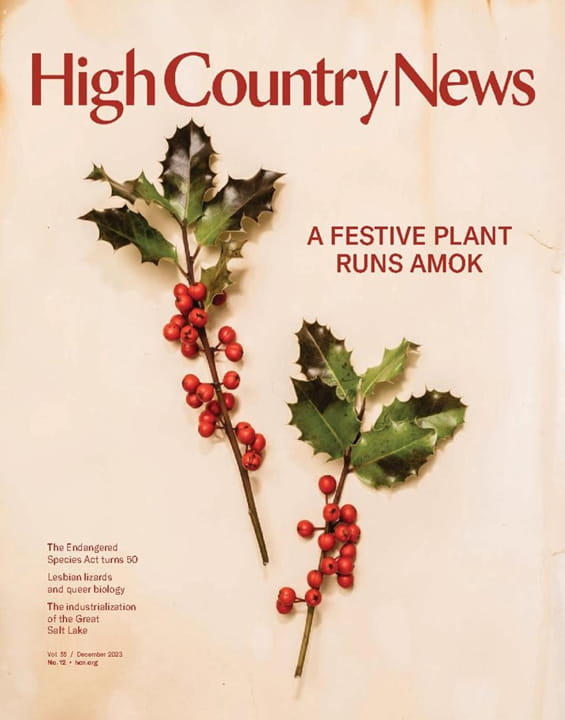 High Country News-Digital Magazine Subscription | MagazineLine