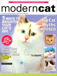 Modern Cat Magazine Subscription | MagazineLine