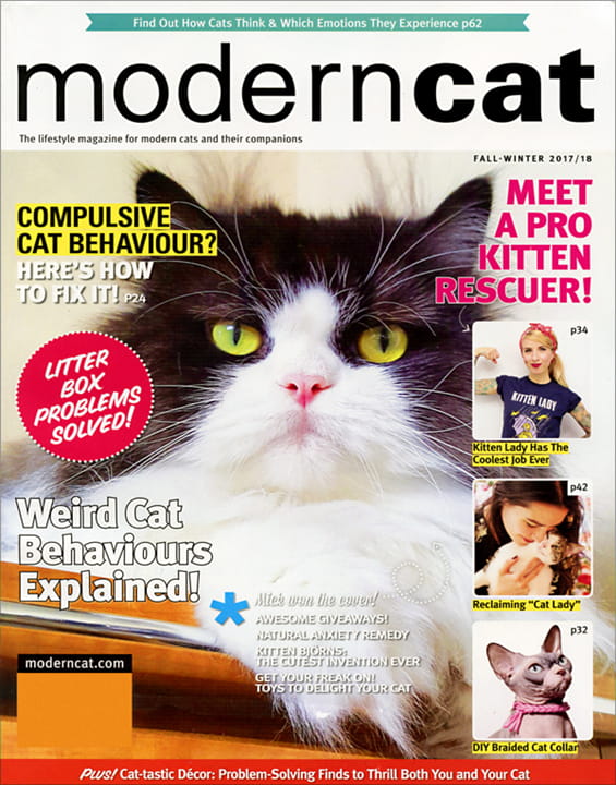 Modern Cat Magazine Subscription | MagazineLine
