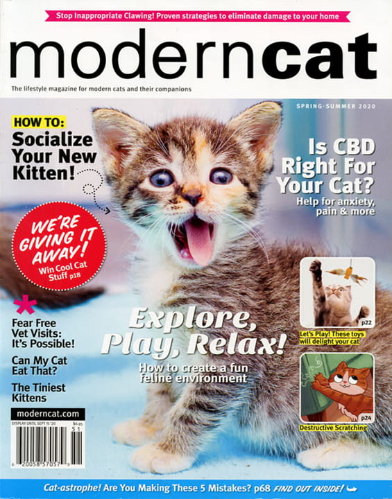 Modern Cat Magazine Subscription | MagazineLine