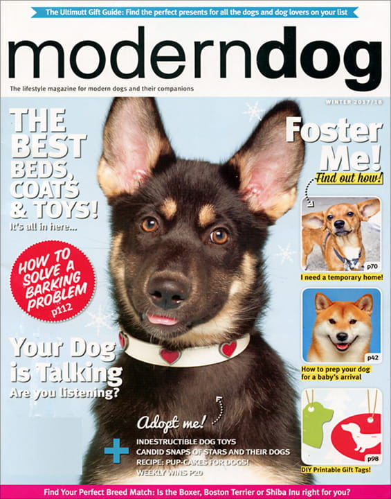 Modern Dog Magazine | Modern Dog Magazine Subscription