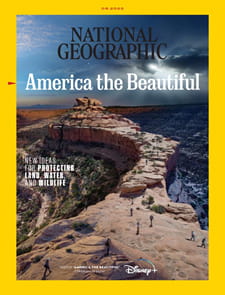 National Geographic Magazine Subscription | MagazineLine