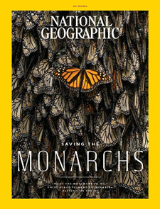 National Geographic Magazine Subscription | MagazineLine