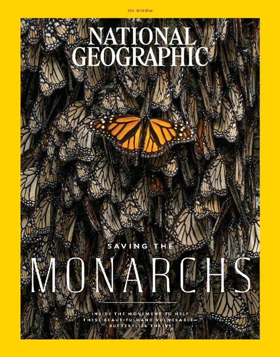 National Geographic Magazine Subscription | MagazineLine