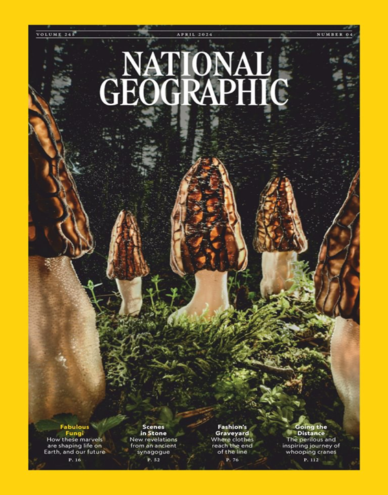 National Geographic Magazine Subscription | MagazineLine