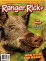 Ranger Rick Magazine Subscription | MagazineLine Discounts