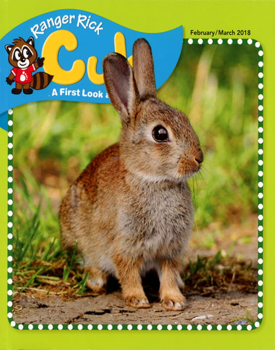 Ranger Rick Cub Magazine | Ranger Rick Cub Magazine Subscription