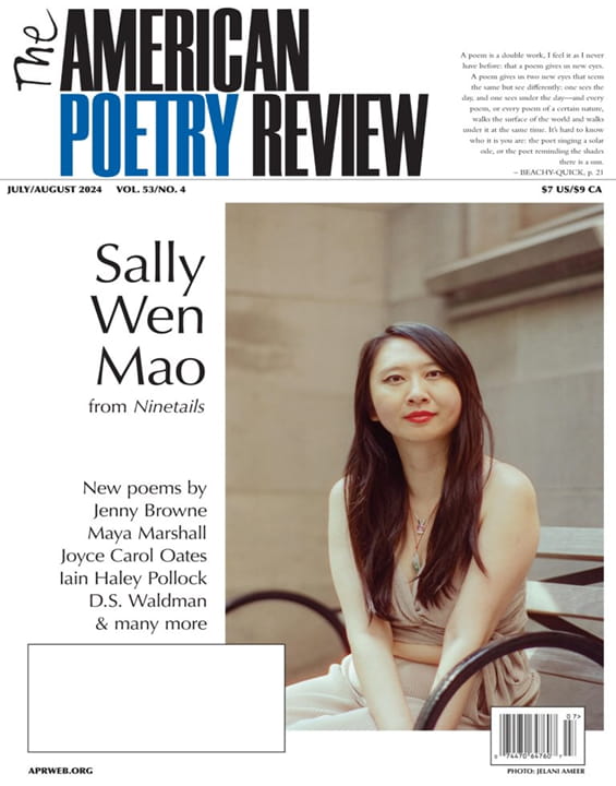 The American Poetry Review-Digital Magazine | MagazineLine