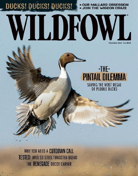 Wildfowl-Digital Magazine Subscription | MagazineLine