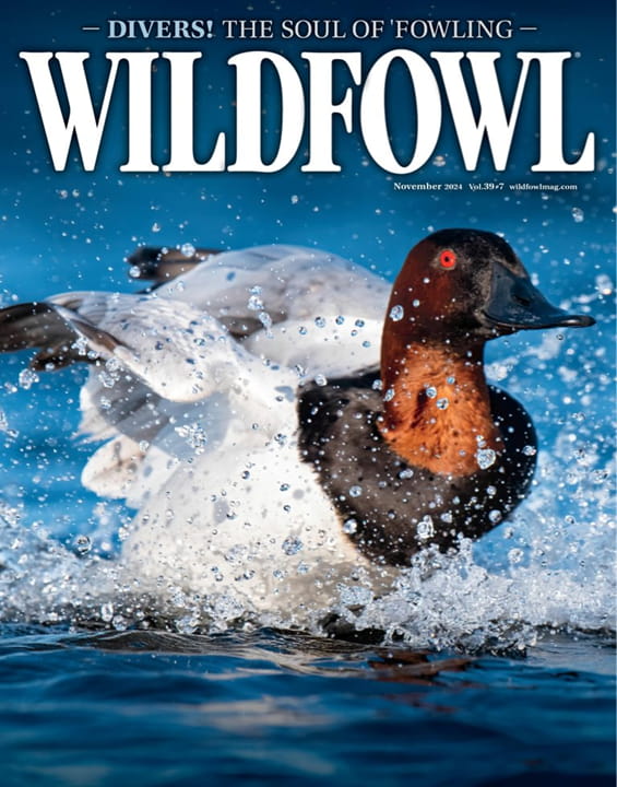 Wildfowl-Digital Magazine Subscription | MagazineLine